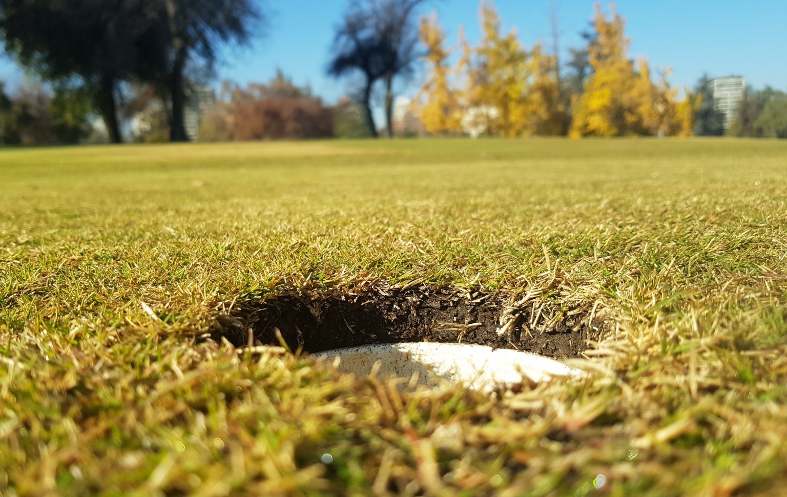 Productos para pasto - Greenchile, líderes en la producción de pasto en ...